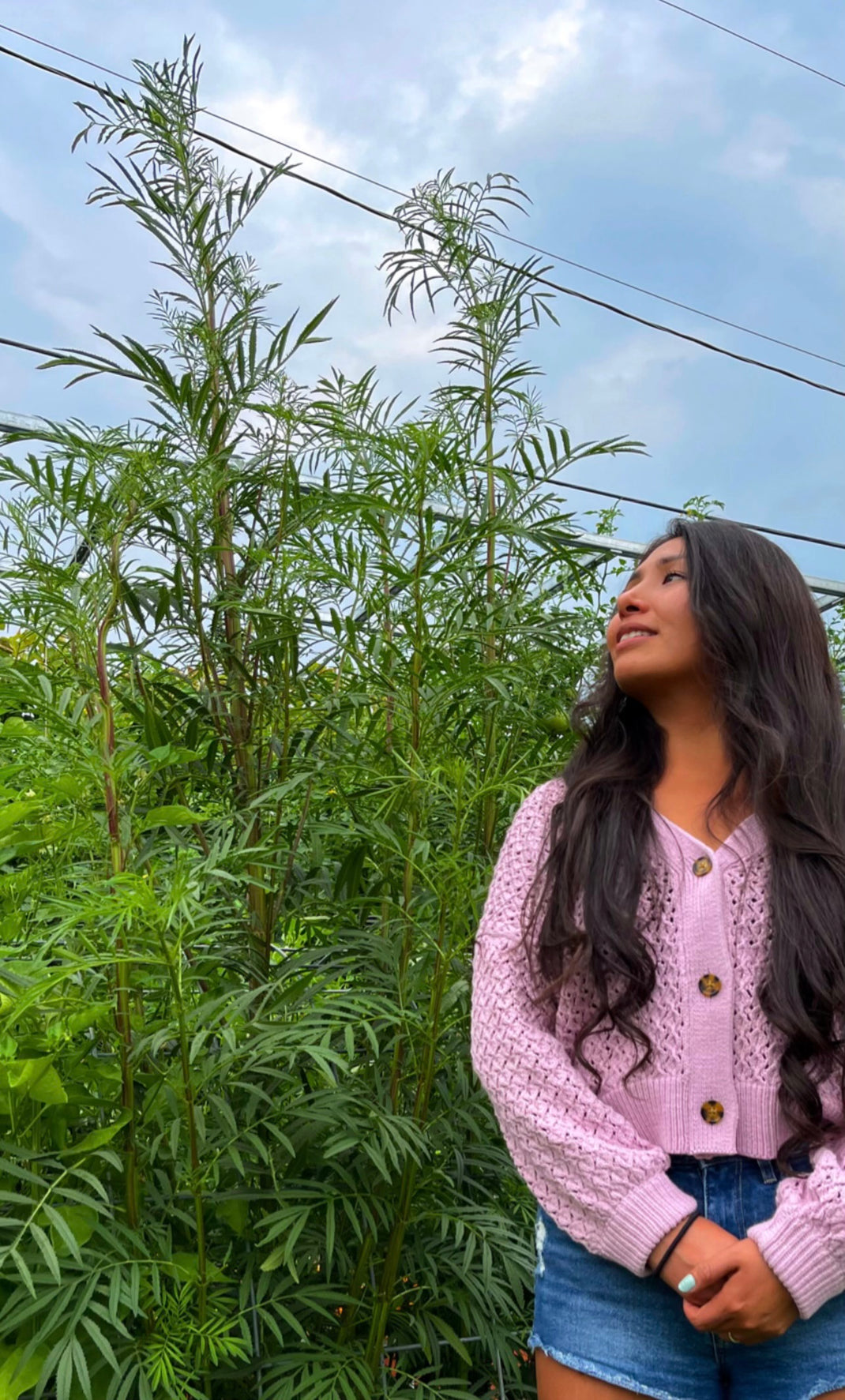 PeruvianCook.com | Authentic Peruvian Recipes & Cooking Tutorials ...